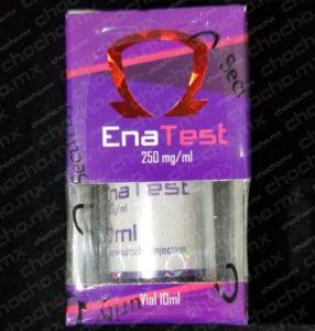 ENA-TEST | CHOCHO.MX